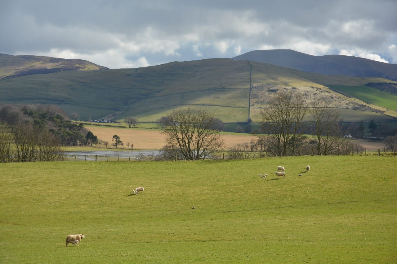 LINK Future of Farming and Rural Land Use in Scotland – Scotlink