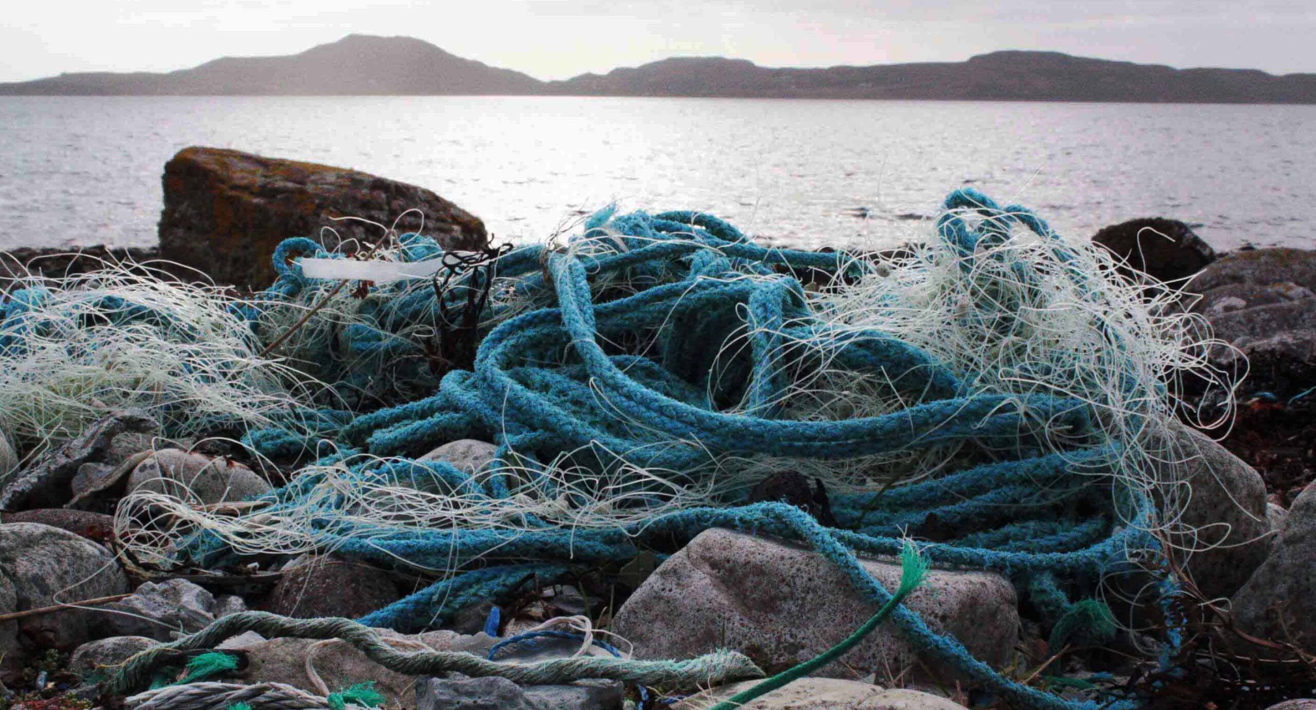 Artist crowdfunds project to tackle coastal litter - Scotlink