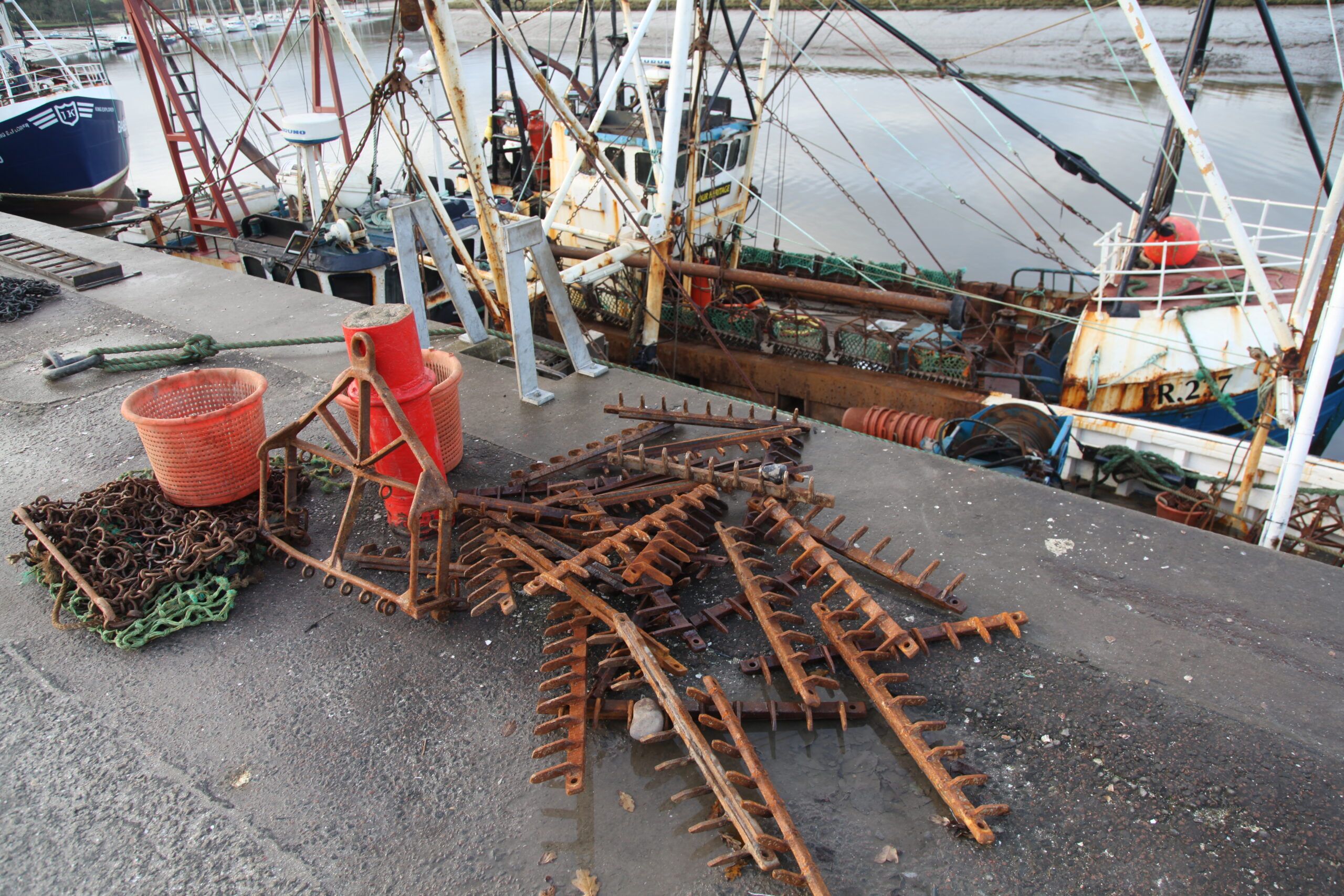 Should we still be scallop-dredging in Luce Bay? - Scotlink