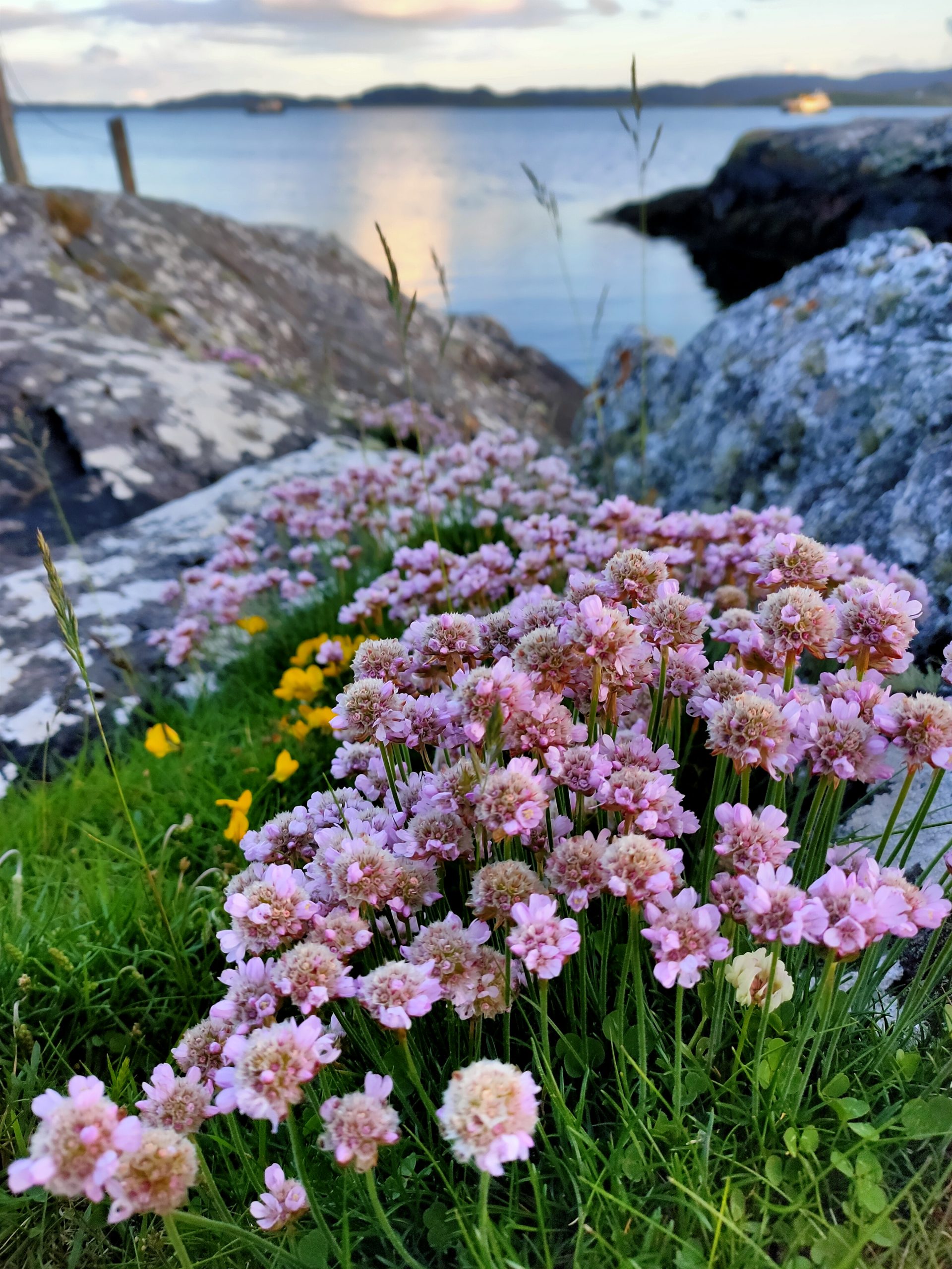 Nature COP: the next big chance to save the planet - Scotlink
