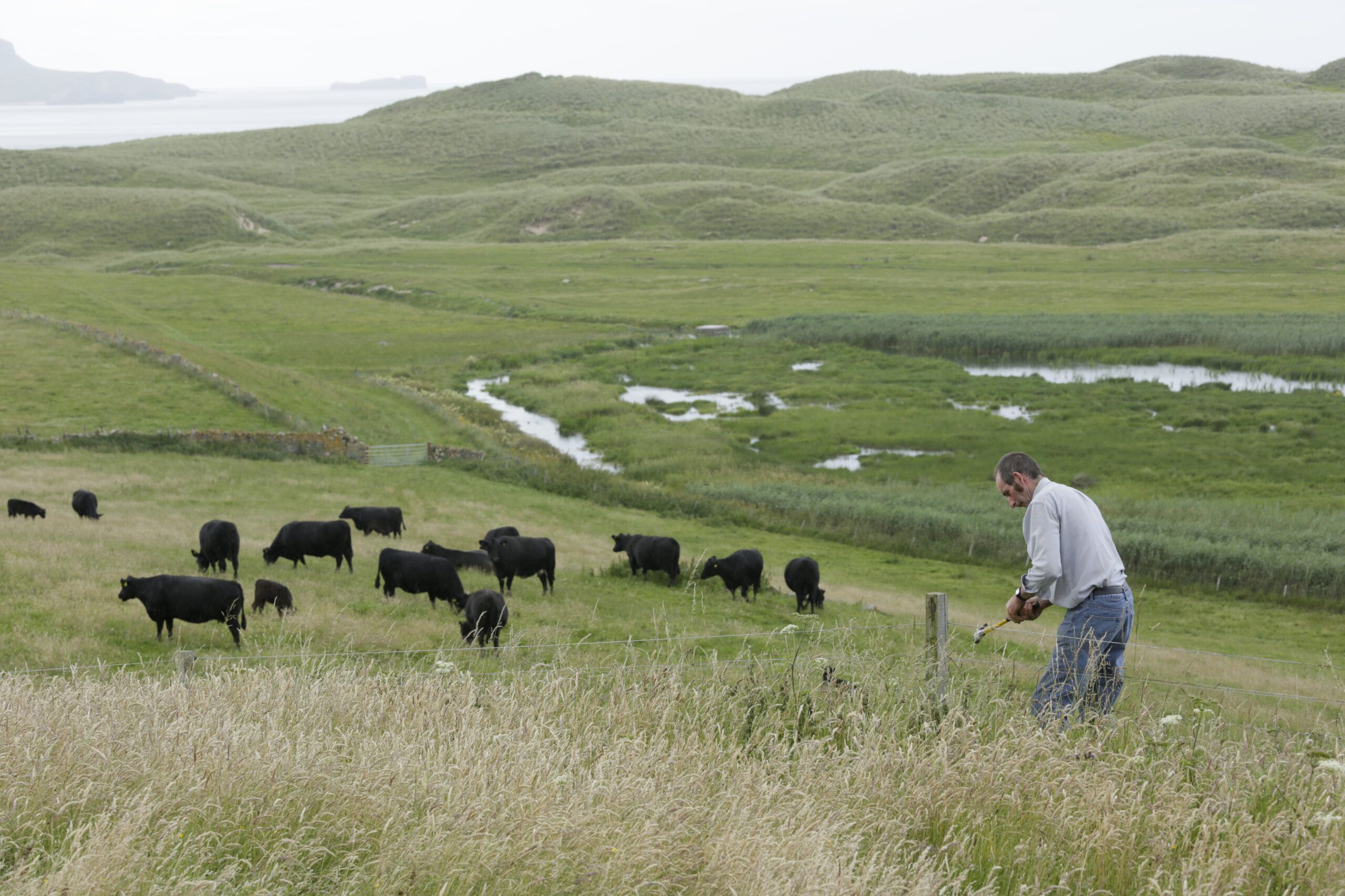 New report reveals Scottish farming must adapt to reflect climate ...