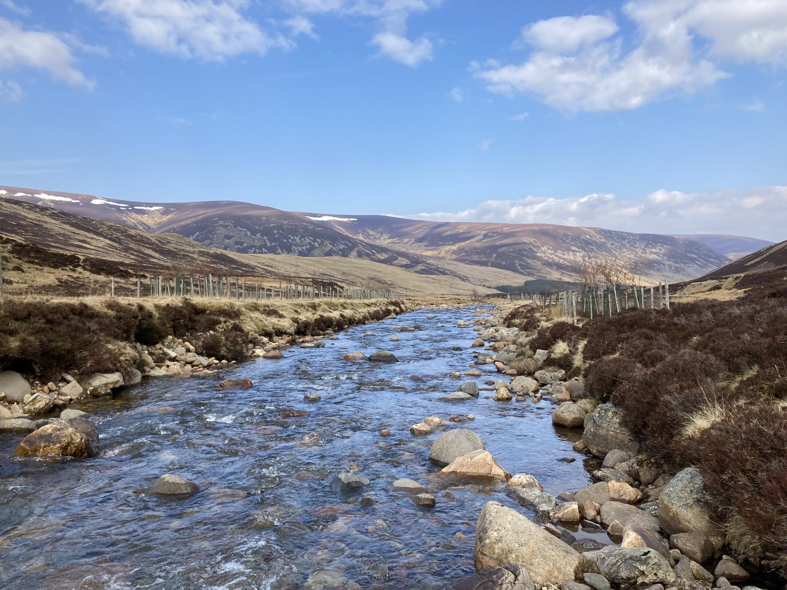 Set Scotland’s rivers free - Scotlink