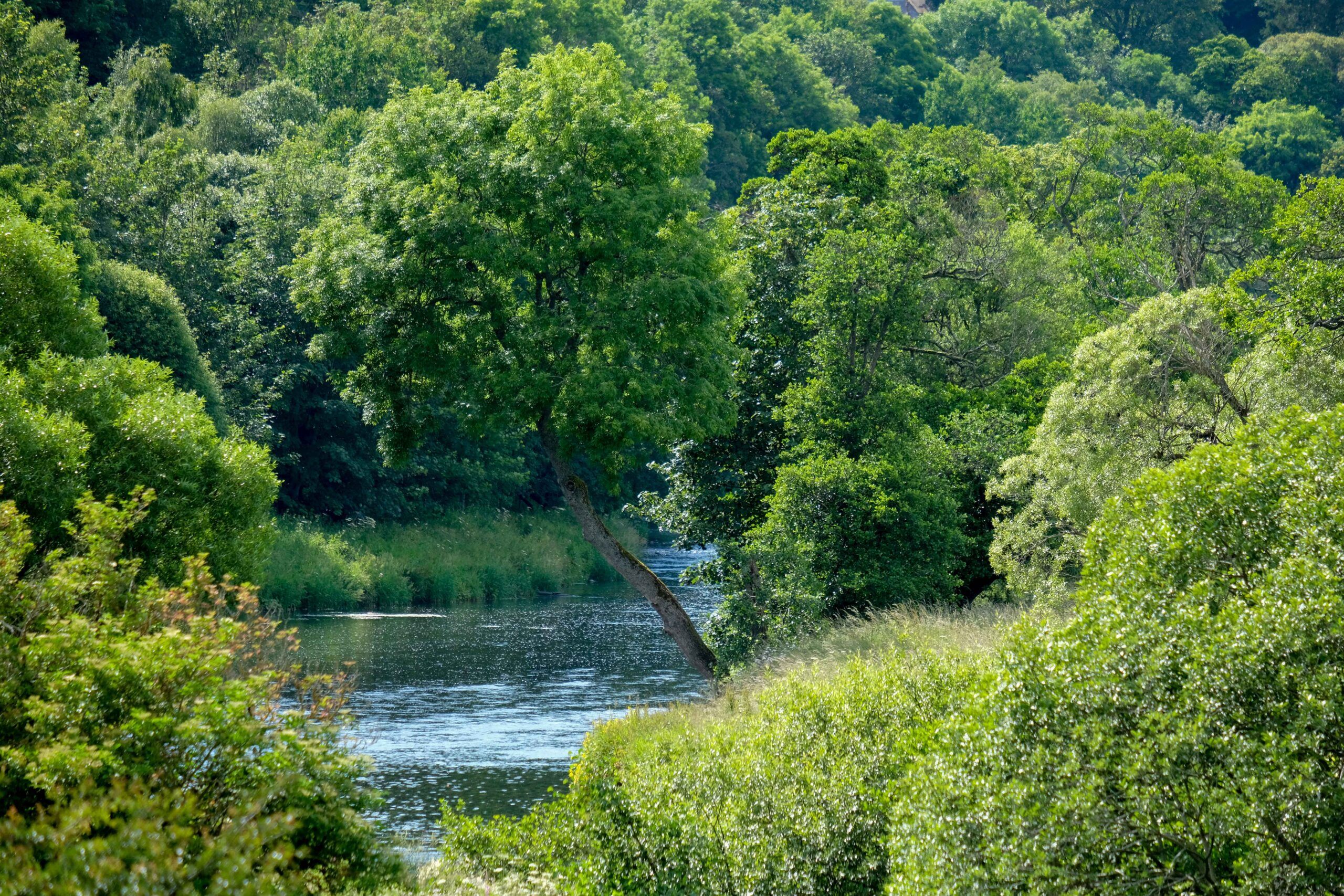 Nature charities call on political leaders to increase ambition on ...