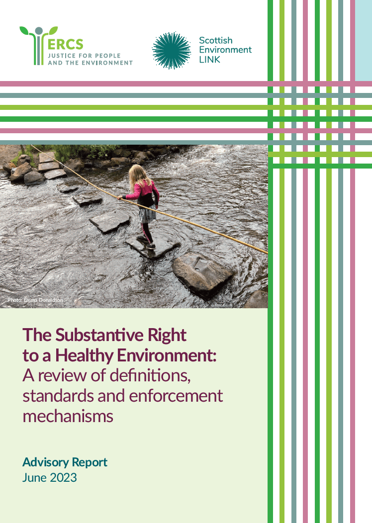 The Substantive Right to a Healthy Environment: A review of definitions ...