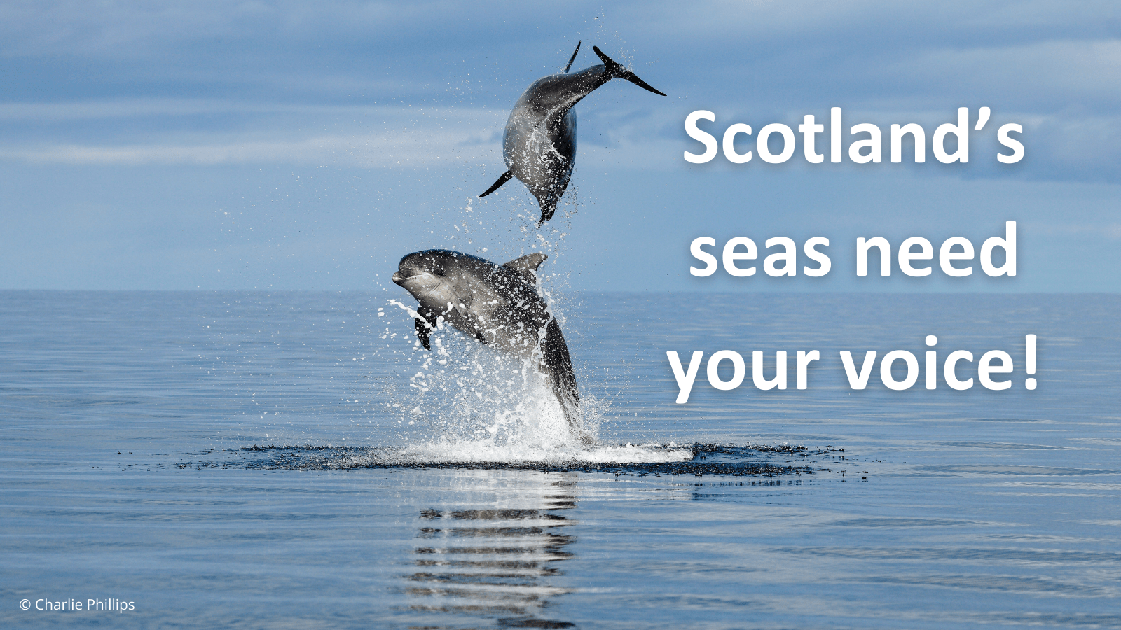 Scotland’s marine protected areas need real protection - Scotlink