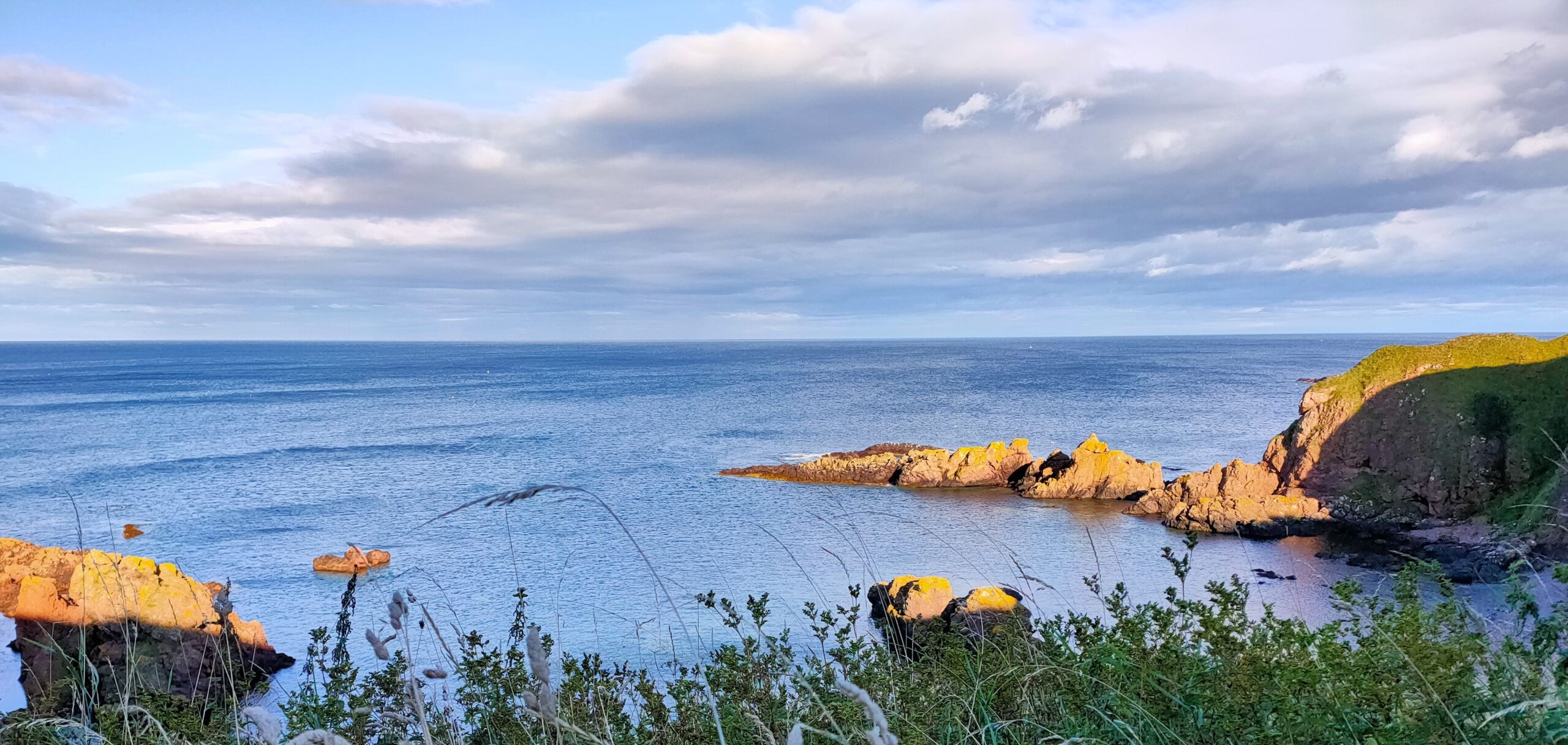 Scotland’s marine protected areas need real protection - Scotlink