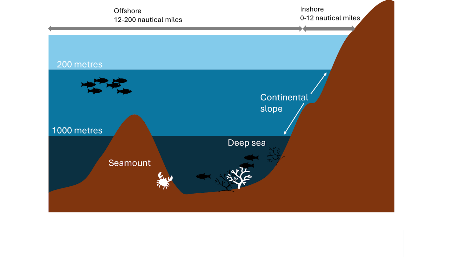 Out of sight, out of mind? Why we should care about protecting the deep ...
