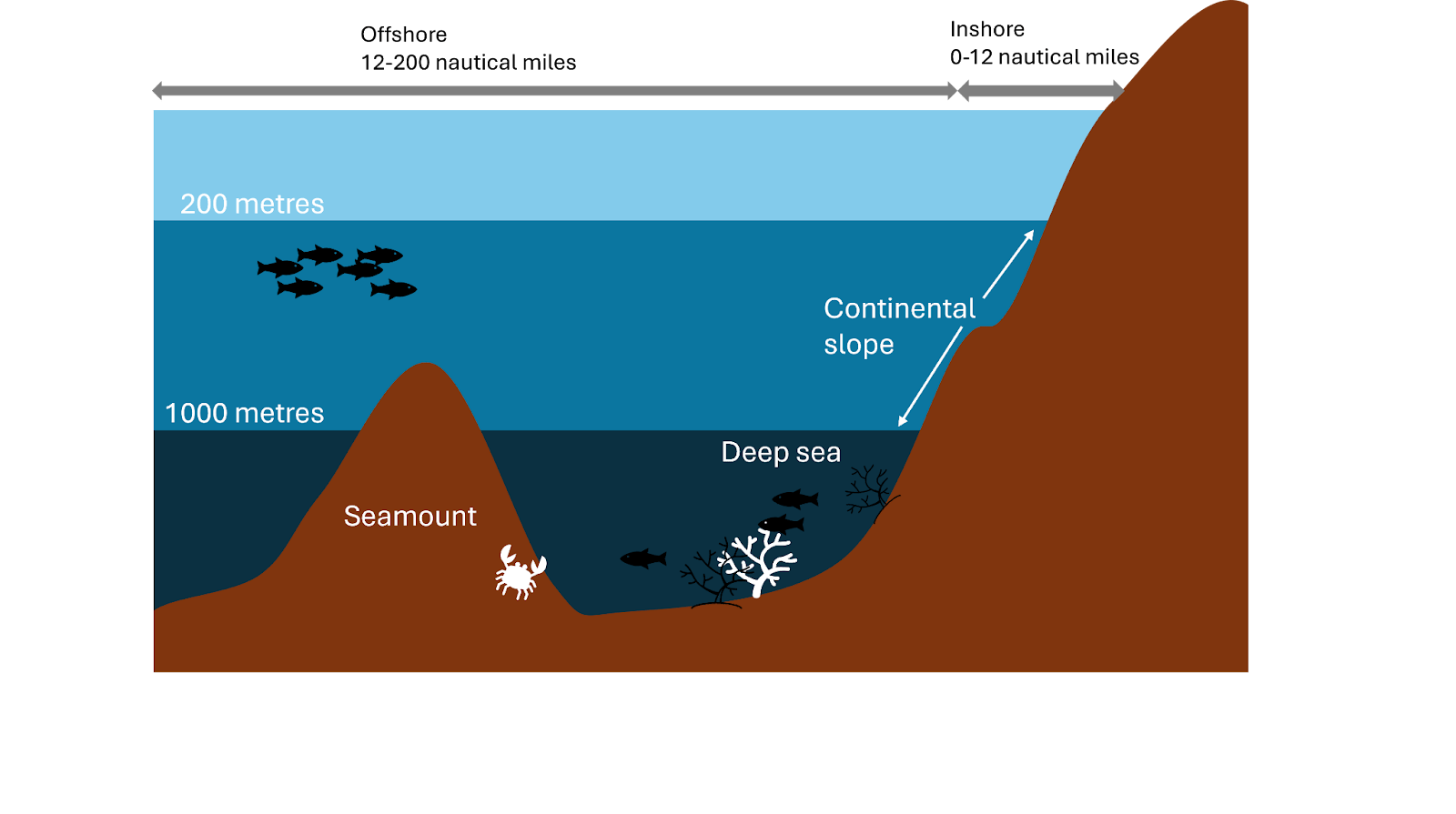 Out of sight, out of mind? Why we should care about protecting the deep ...