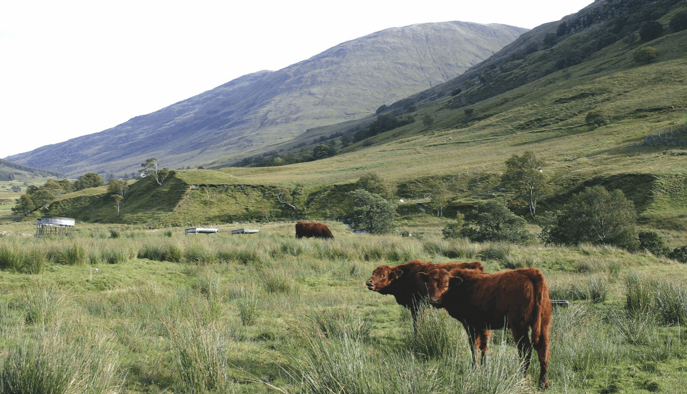 Farming thrives in Scotland's national parks: new report - Scotlink